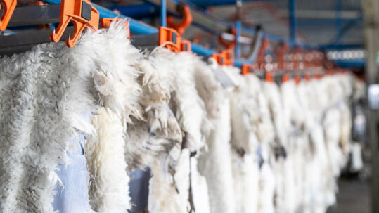 Leather Tannery: The Tanning Process Explained - Erdogan Deri